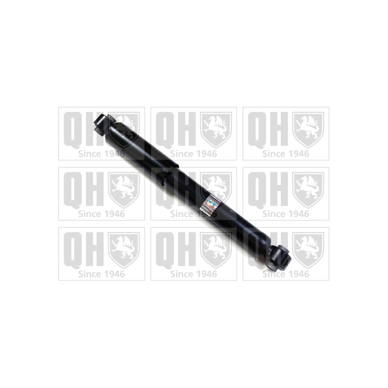 Jeu de 2 amortisseurs arrière 6393262500