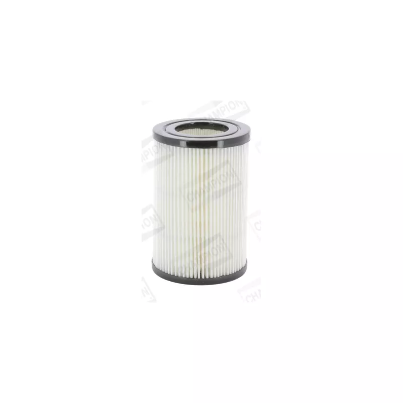 Filtre à air CHAMPION CAF100468C pas cher