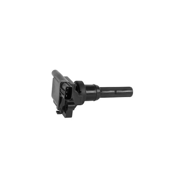 Bobine d'allumage EFI AUTOMOTIVE 155204 pas cher