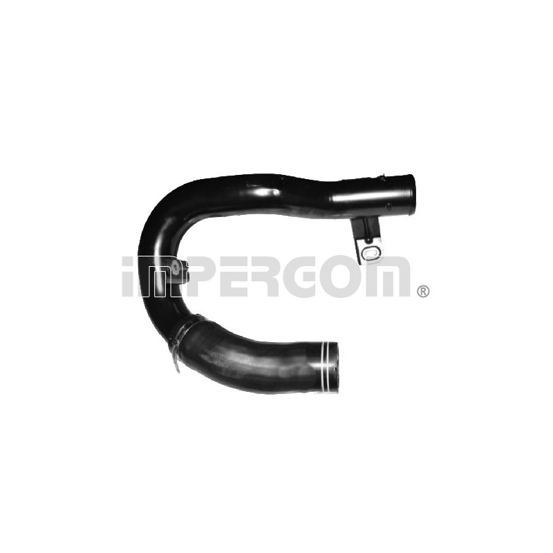 Durite de turbo pour FIAT DOBLO II 263 1,6 D Multijet 105cv