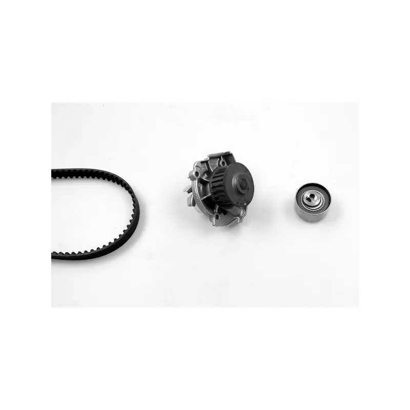 Kit de distribution + pompe à eau pour FIAT PUNTO 188 1.2 60 60cv ...
