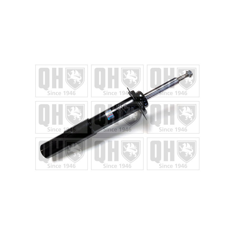 Amortisseurs avant pour BMW Série 5 E60 525 d 177cv