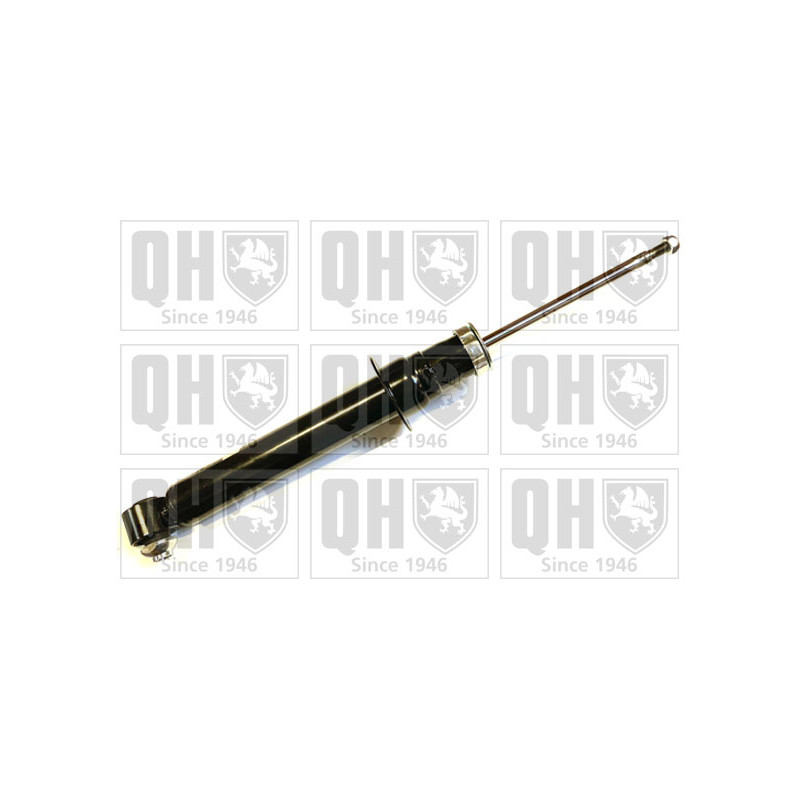 Amortisseurs arrière pour BMW Série 5 F10 530 d 245cv